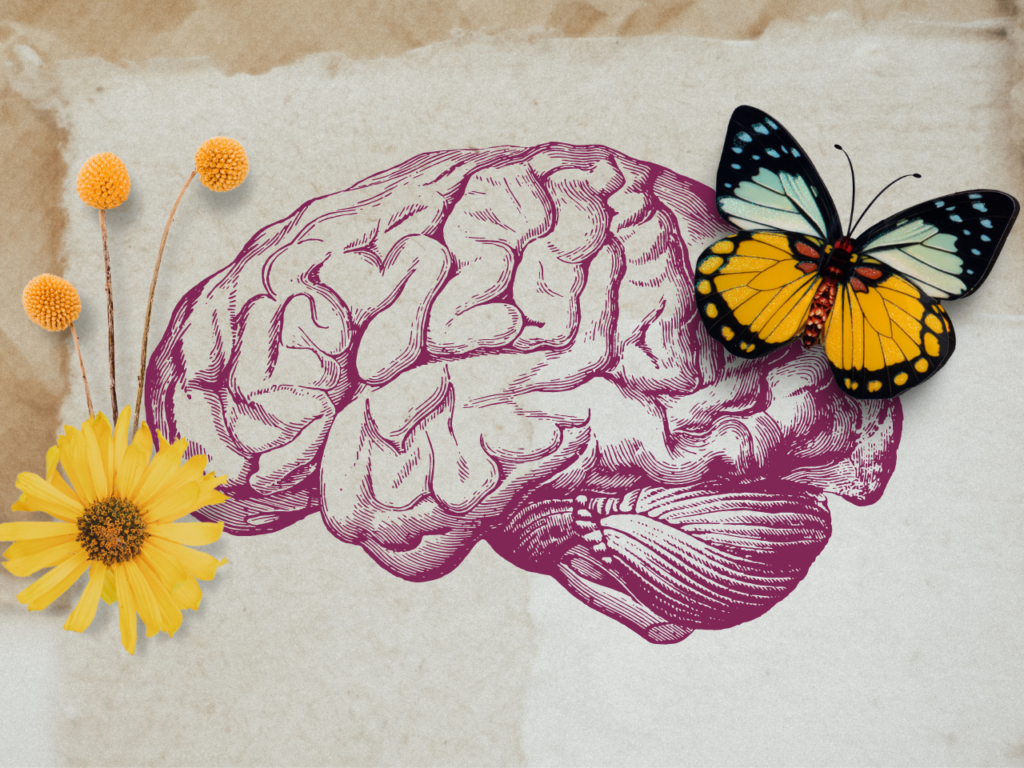 Tucson Mental Health: CODAC Health, Recovery & Wellness, Inc.