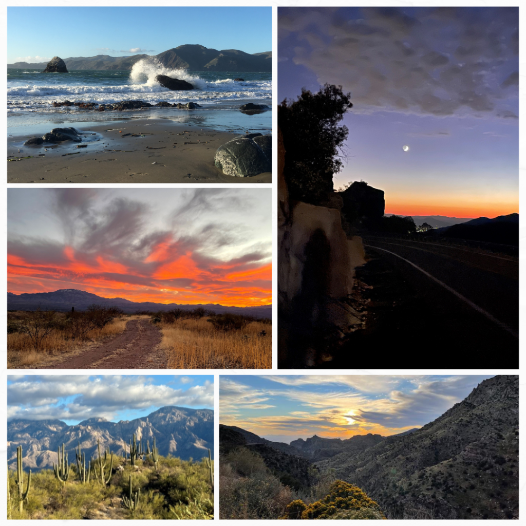 Staff Spotlight: Celebrating 30 Years of Dedication at CODAC - CODAC