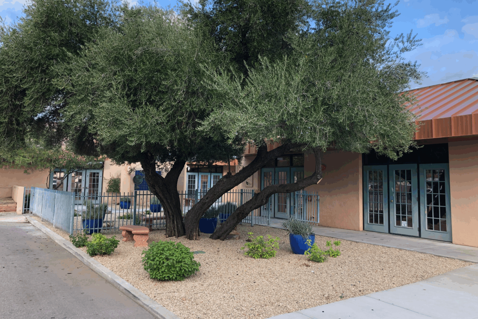 Trauma Recovery Center - CODAC